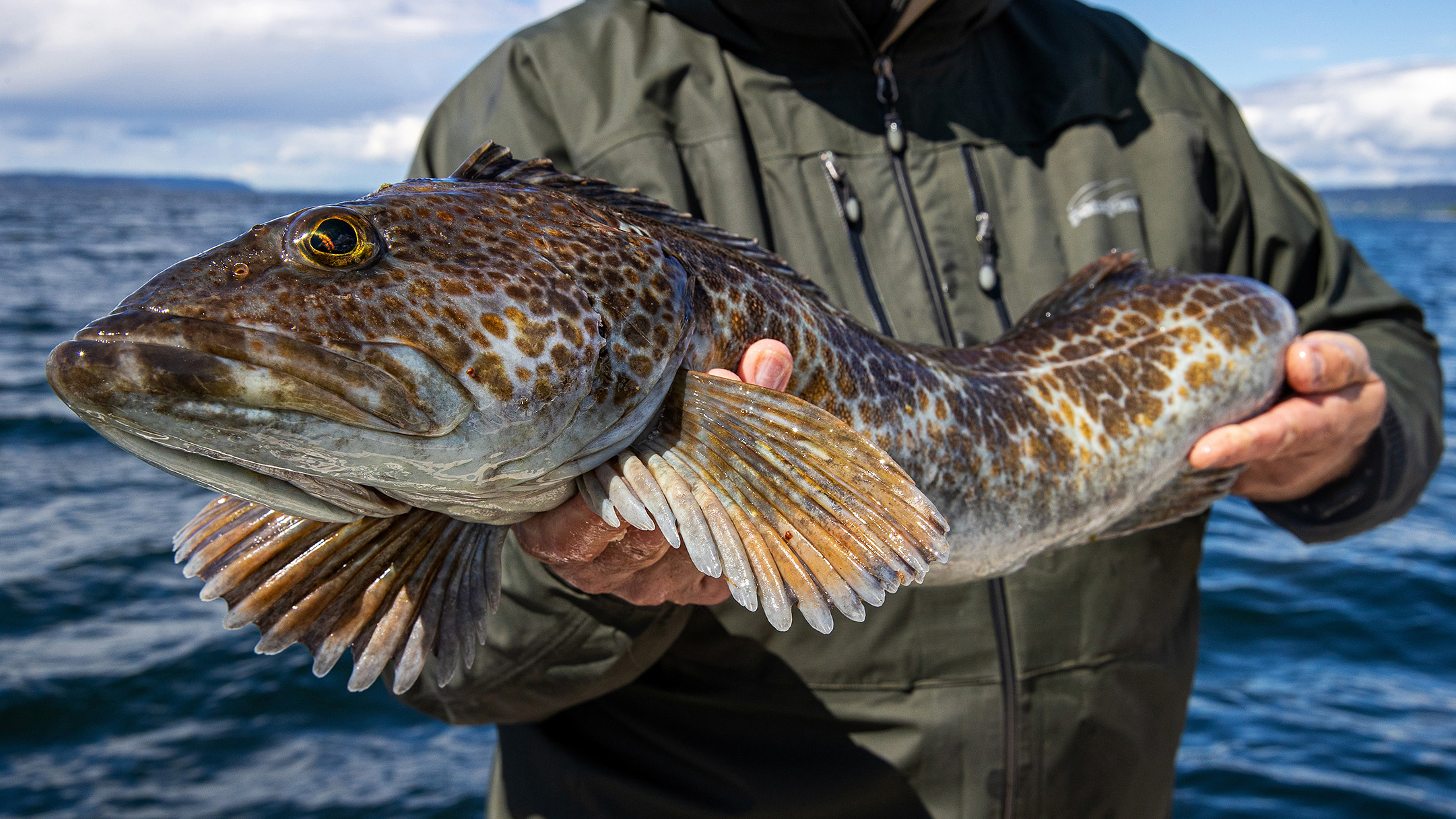 Rods, Reels & Tackle for Targeting Lingcod - Fish-Field