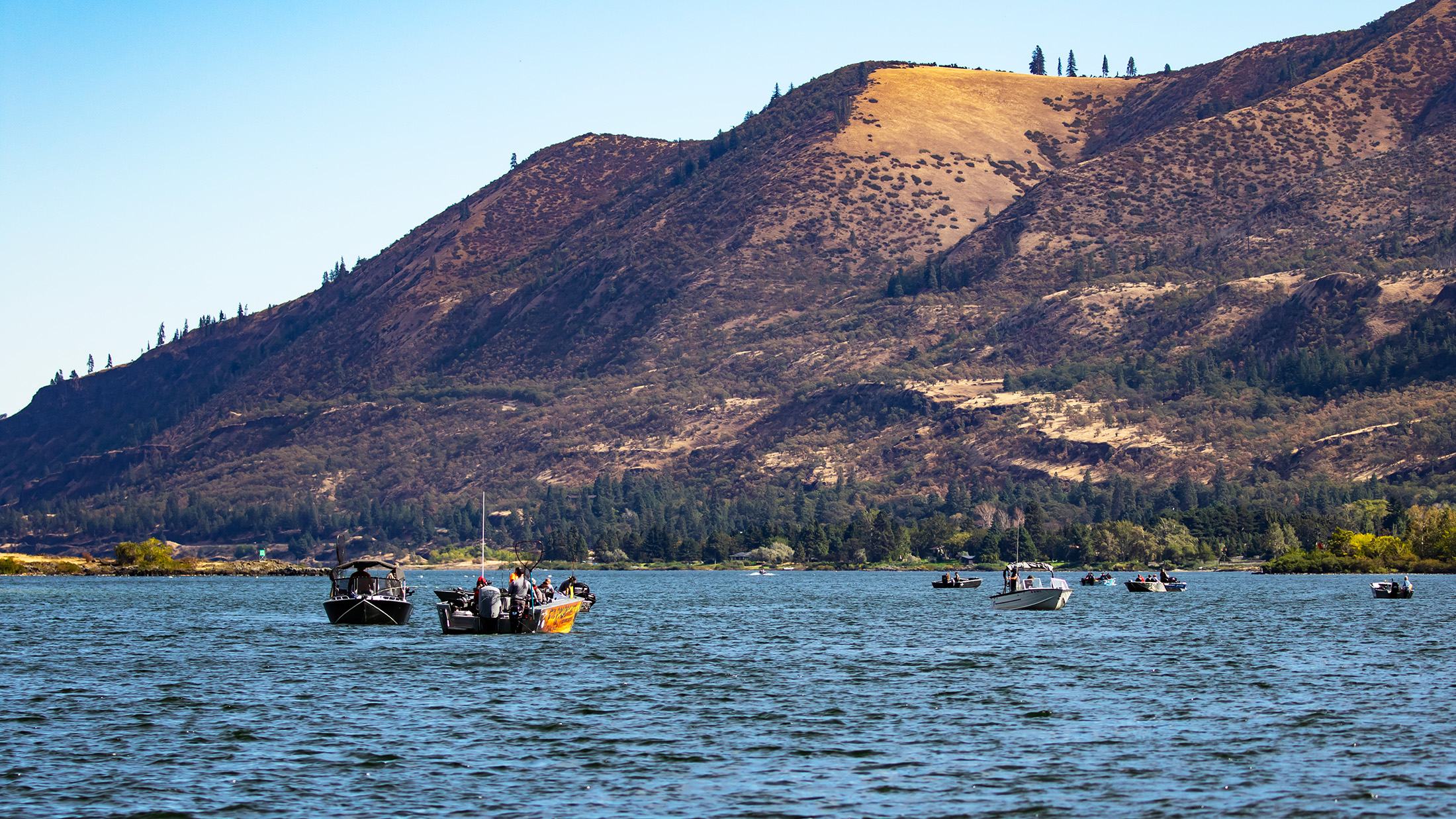 Salmon Hover Fishing on the Columbia River - Fish-Field